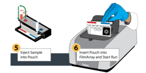 Multiplex PCR System – Lotus Biomedicals